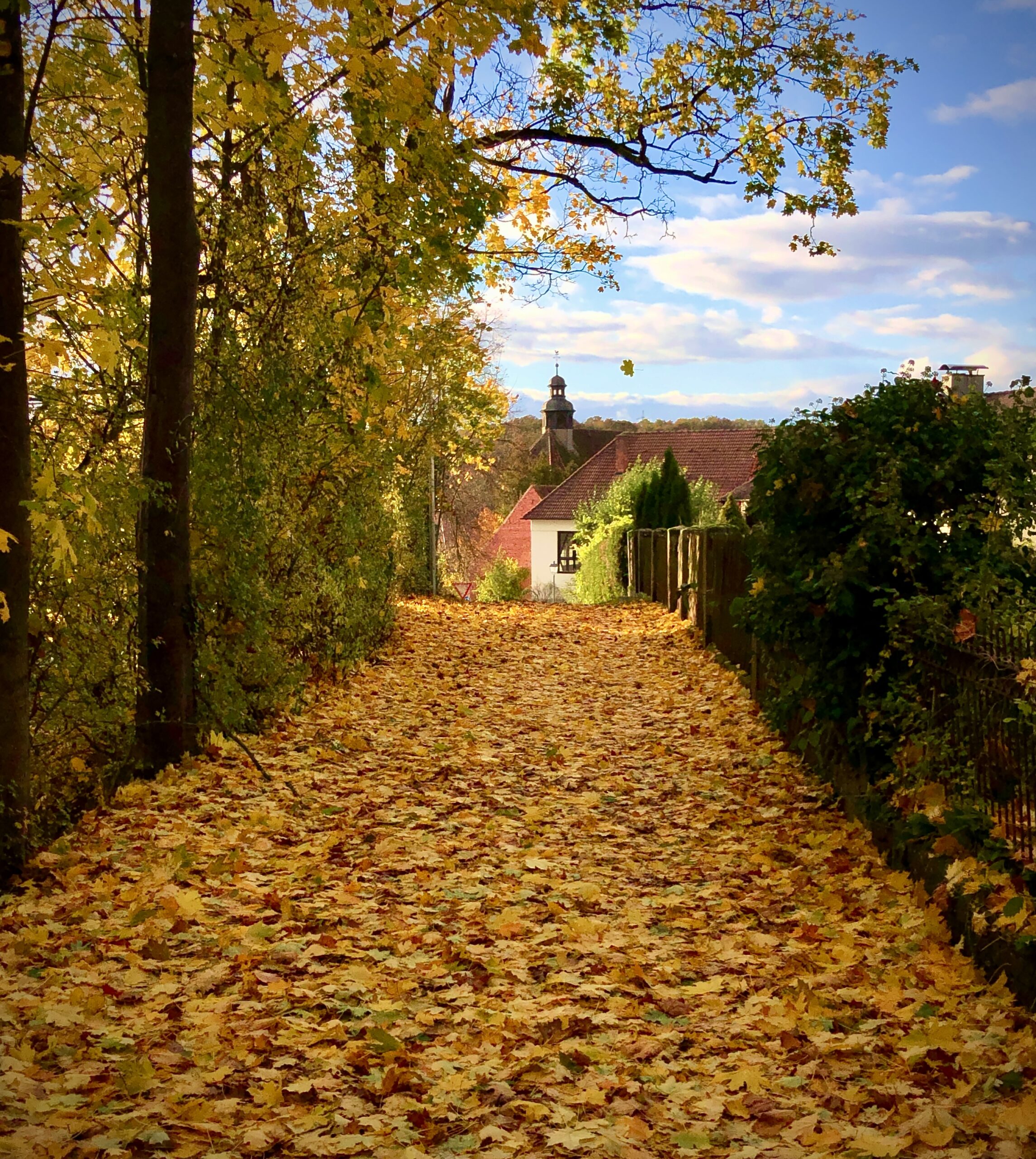 Lazy Leaves Märzen: Autumn in a Glass, Brought to You by OKC’s Big ...